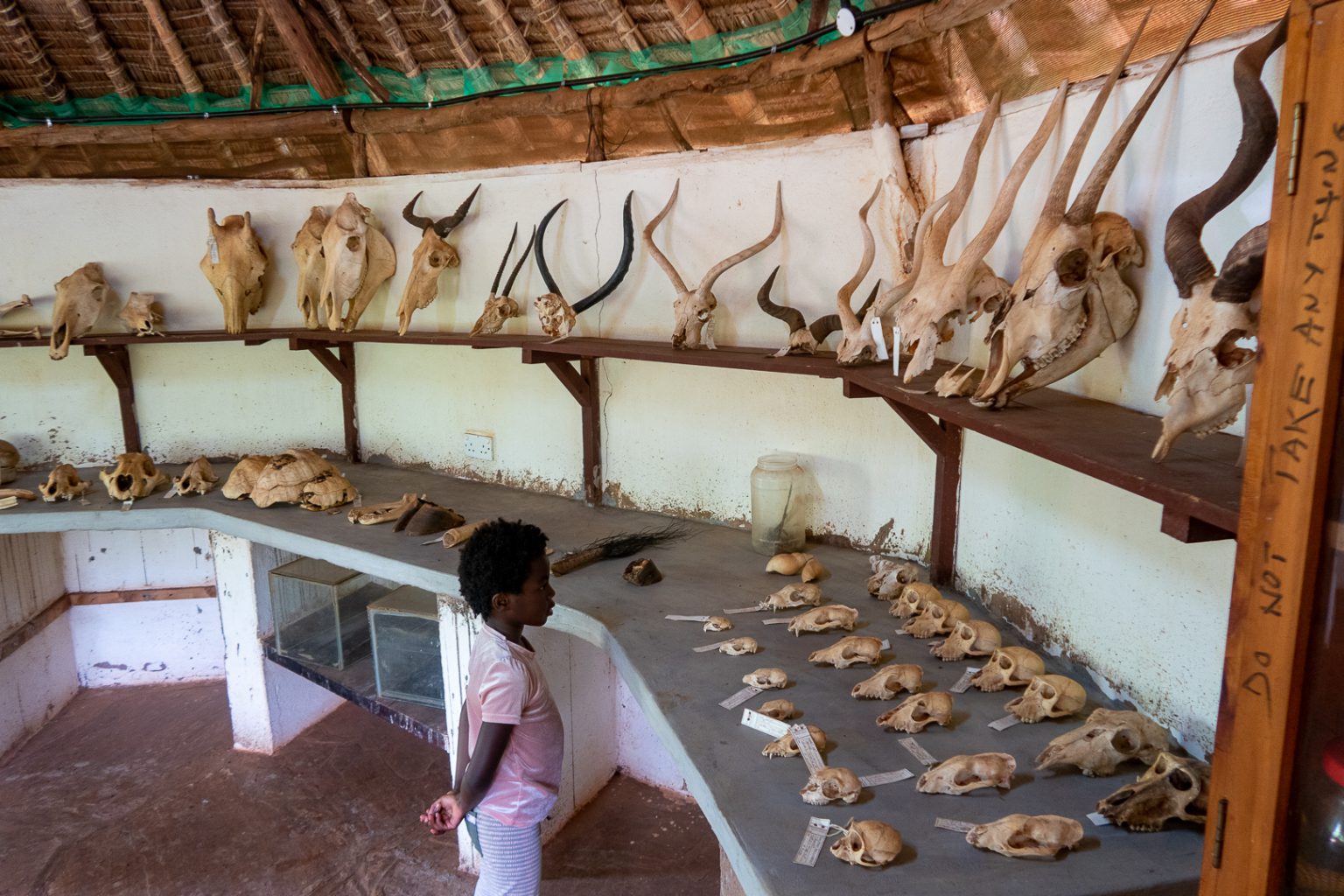 Kilifi en Kivuli – Living East Africa